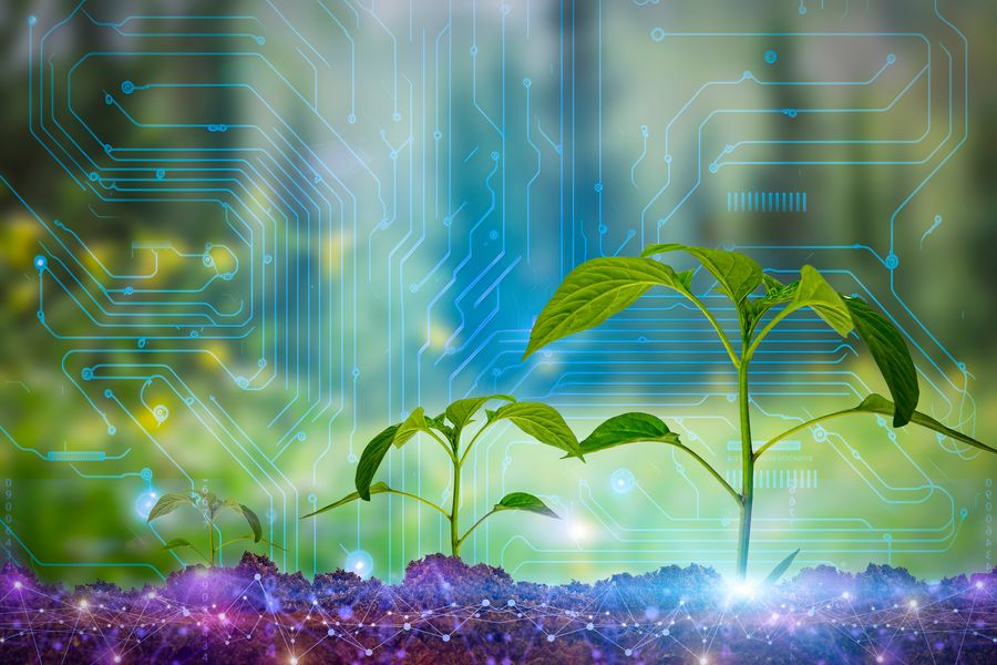 Smart City, Smart Region, Smart Business - BDS-SH